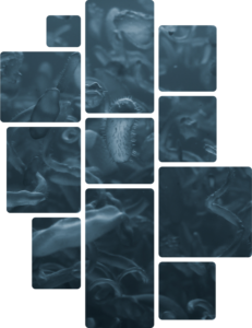 Home - Locus Biosciences