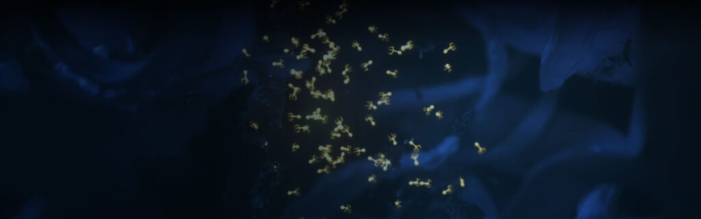 Contact - Locus Biosciences